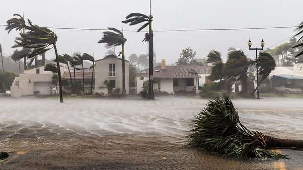 The 2026 Super El Niño: Are You Ready? – Be Prepared - Emergency Essentials