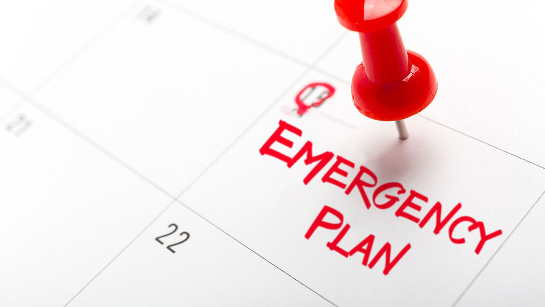 Month-By-Month Preparedness Calendar – Be Prepared - Emergency Essentials