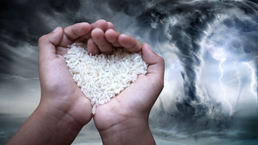 Beyond the Bowl: 20 Surprising Survival Uses for Rice – Be Prepared - Emergency Essentials