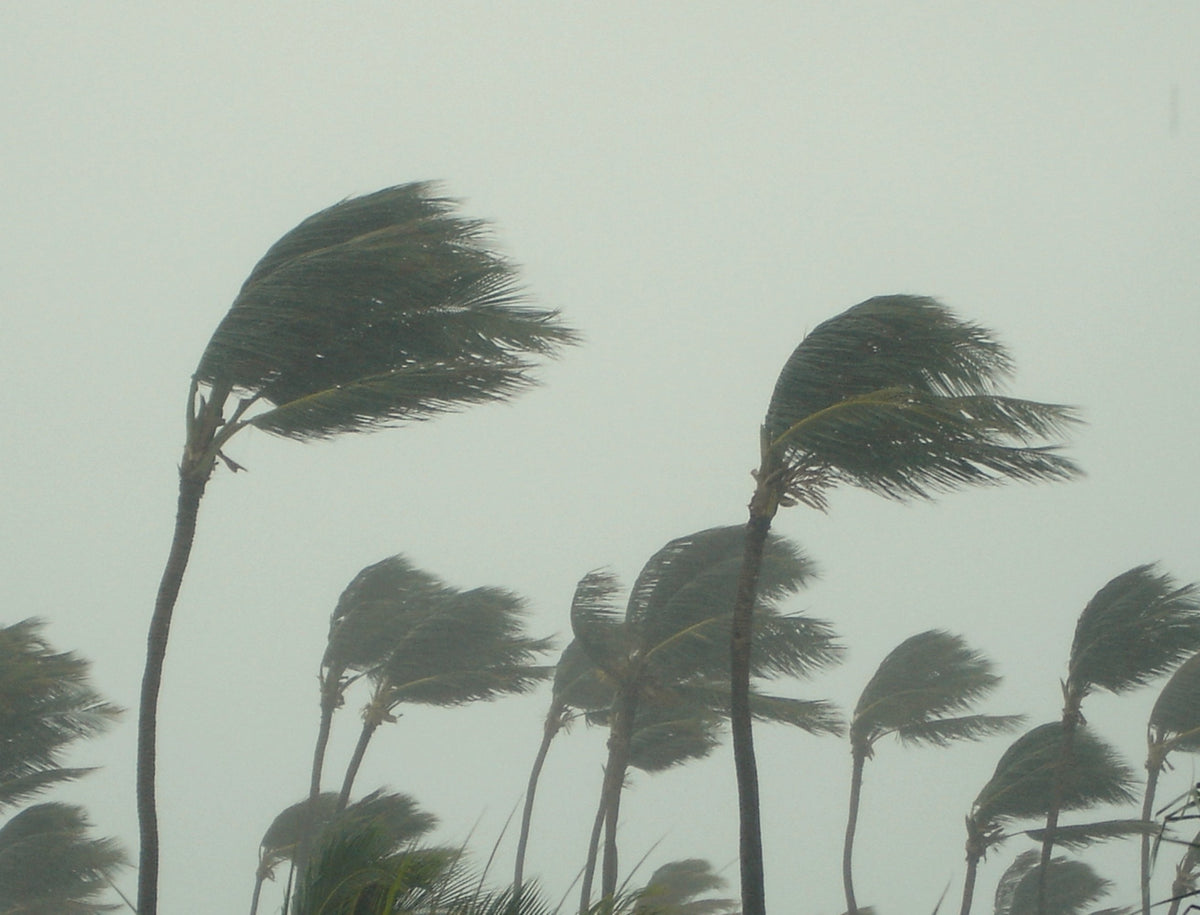 When Hurricanes Go Inland – Be Prepared - Emergency Essentials