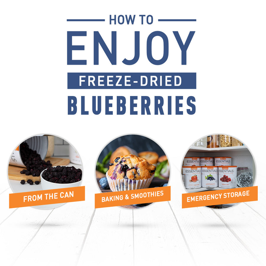 Emergency Essentials® Freeze-Dried Whole Blueberries Large #10 Can 3-P ...