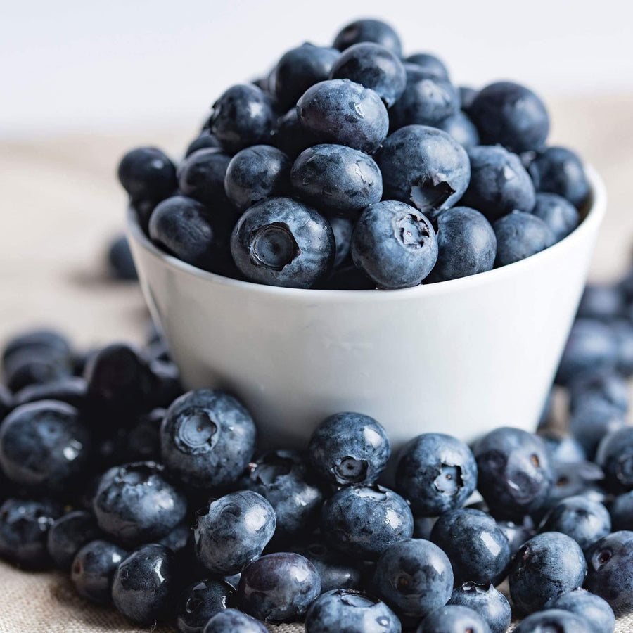 Emergency Essentials® Freeze-Dried Whole Blueberries Large #10 Can 3-P ...