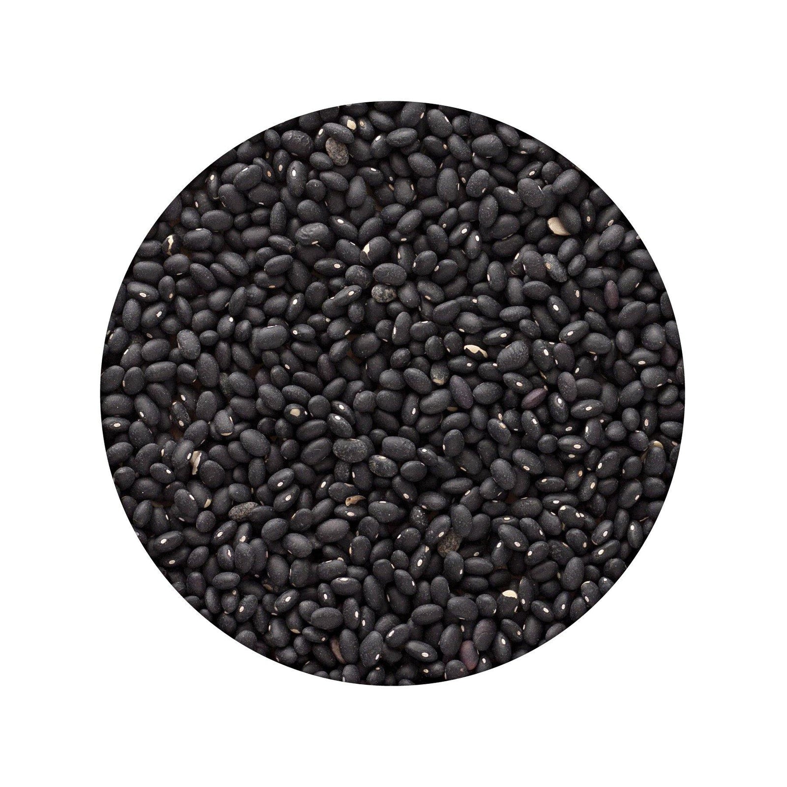 Emergency Essentials® Black Beans Large #10 Can – Be Prepared ...