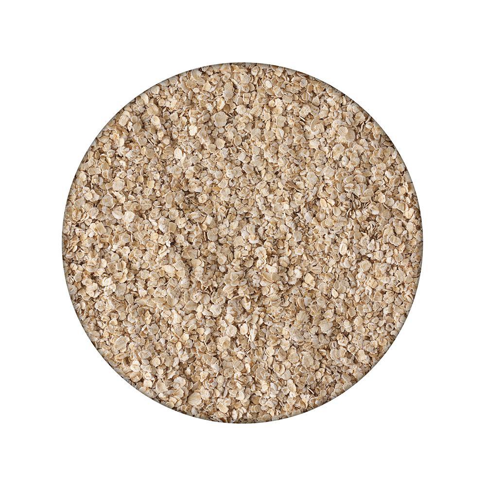 Emergency Essentials® Quick Oats Large #10 Can – Be Prepared ...